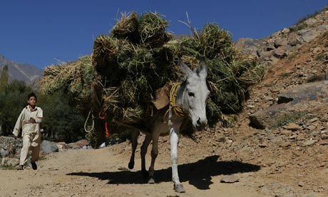 Riding Animals - Page 2 - Glorantha - BRP Central - The Chaosium forums